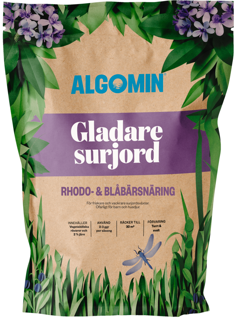 Algomin Gladare Surjord - Algomin