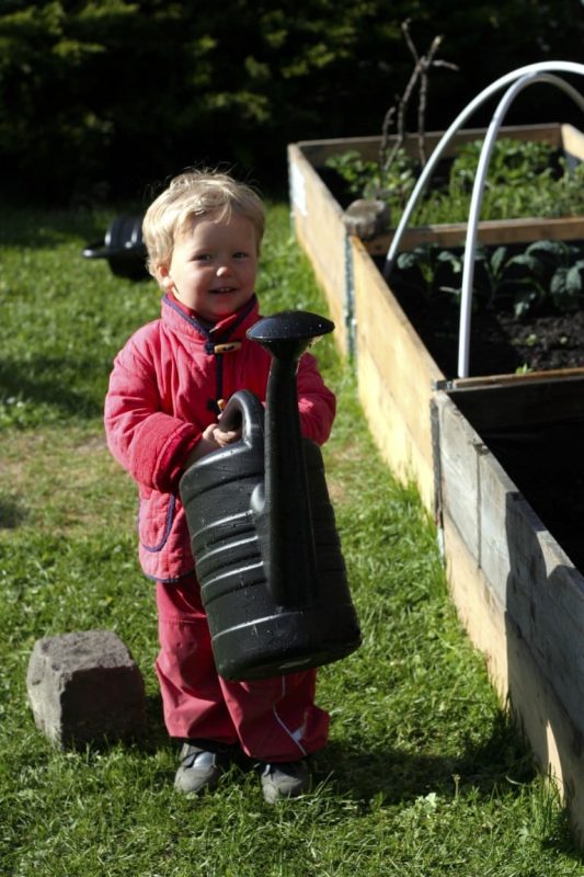Så odlar du potatis! - Algomin
