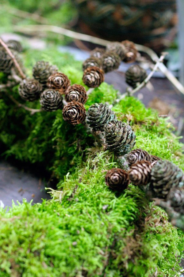 Inspirerande julkransar! - Algomin